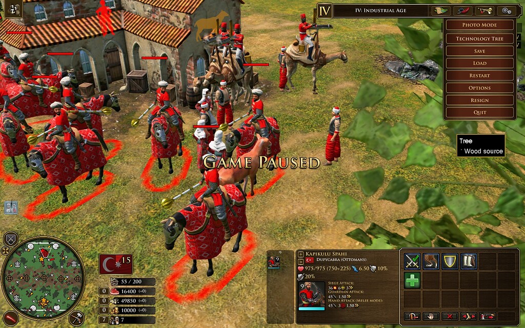 Kapikulu Spahi skin bug? - III - Report a Bug - Age of Empires Forum