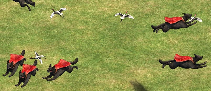 Red Crowned Crane unaffected by "woof woof" cheat code - II - Report a ...